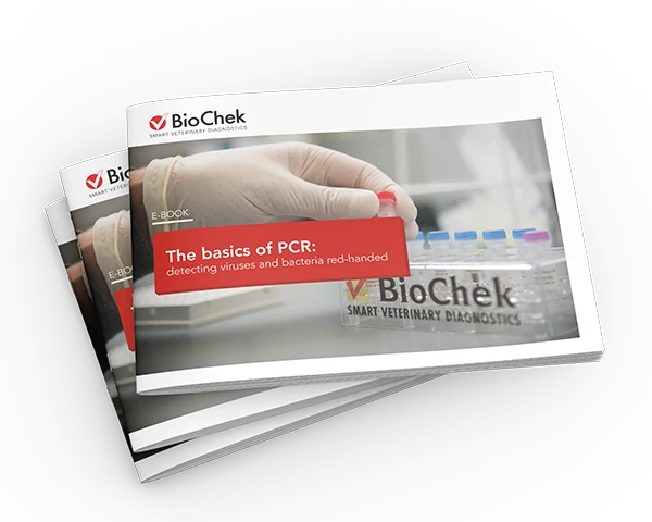 Basics of PCR - BioChek
